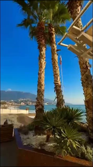 Солнечная Ялта☀️❤️🇷🇺