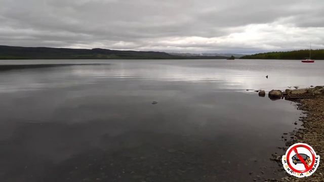 Паруса и ветер: Яхты и выпускные 2022/яхт-клуб Гольфстрим