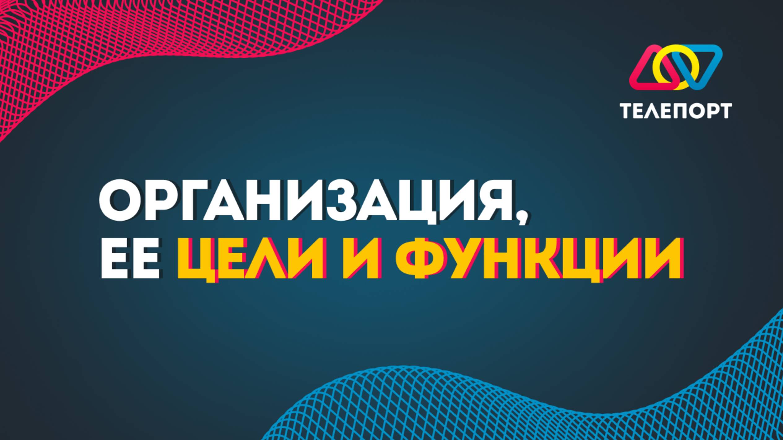 Урок 1. Организация, ее цели и функции