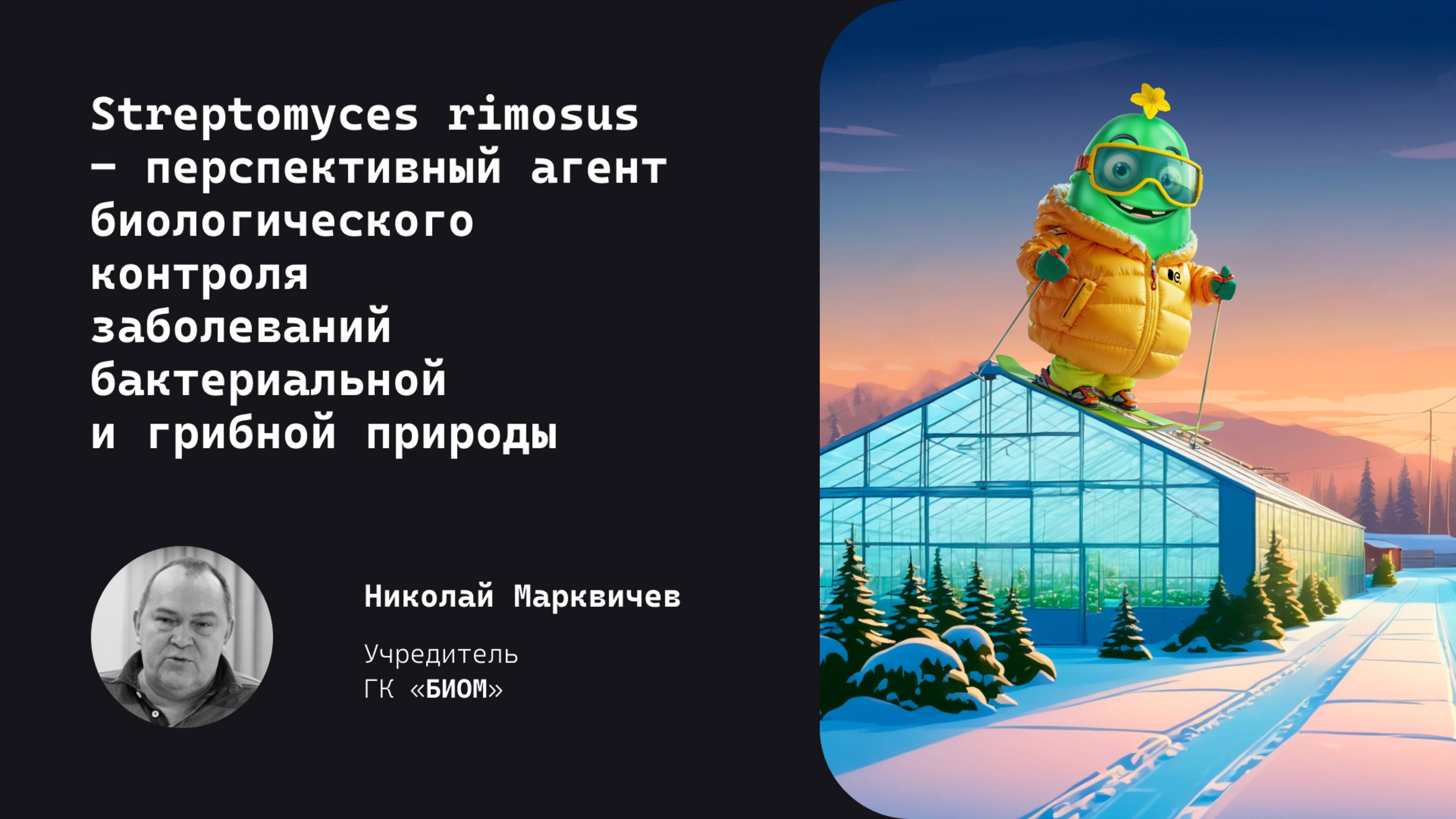 ⛷️ Streptomyces rimosus - агент биологического контроля заболеваний бактериальной и грибной природы