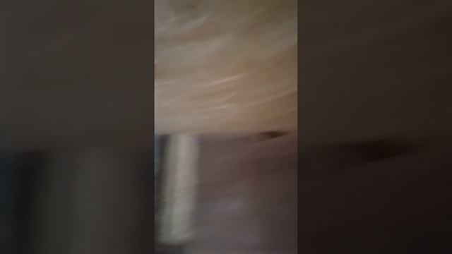 Заброшенная Россия, Удеревка17-03-2025