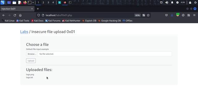 14-Insecure-File-Upload-Client-Side-Controls-Bypass