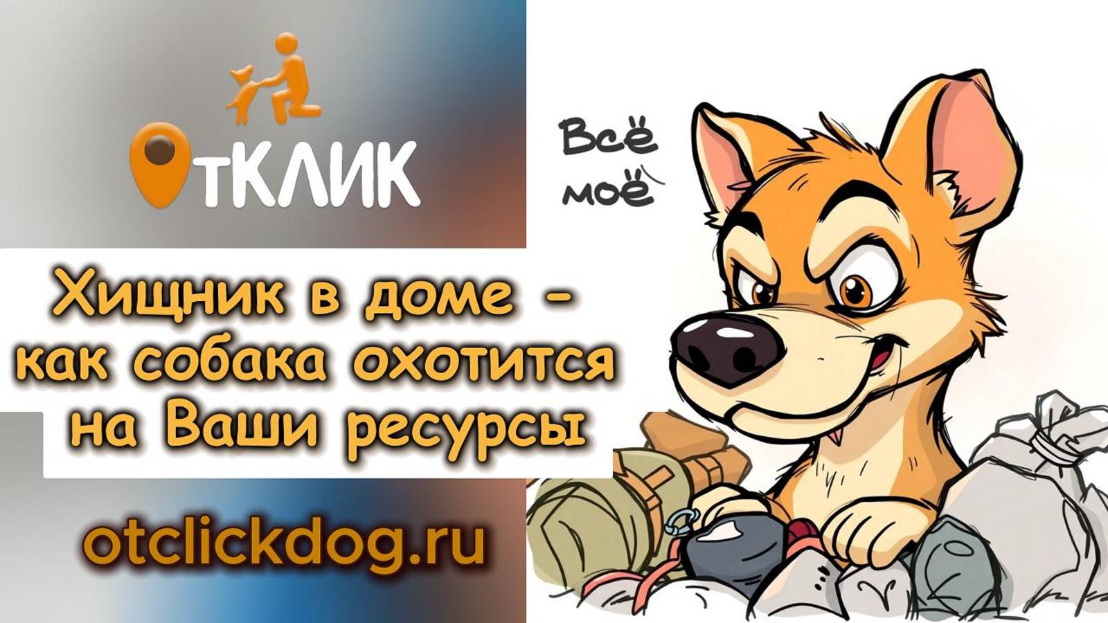 Хищник в доме - как собака охотится на Ваши ресурсы