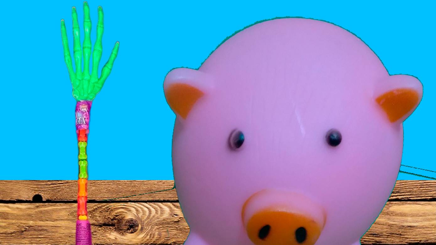 НИКОГДА НЕ ЕШЬ ЭТИ КОНФЕТЫ С МОИМ ГОВОРЯЩИМ СВИЛИ!!! 5 ОПАСНЫХ КОНФЕТ ДЛЯ СВИЛИ!