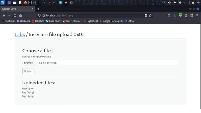15-Insecure-File-Upload-Bypasses