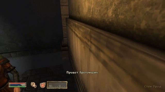 The Elder Scrolls IV Oblivion - Walkthrough Part № 50