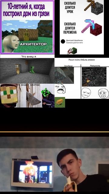 #meme #minecraft