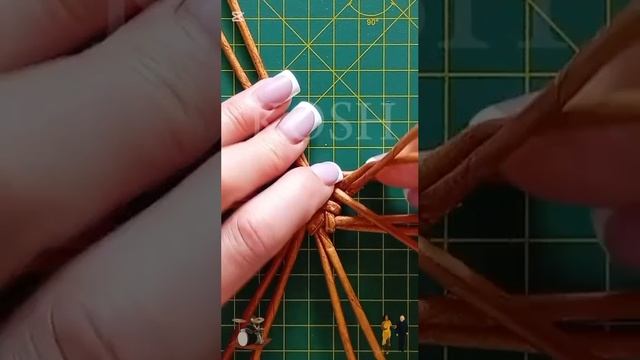 Цветок сакуры