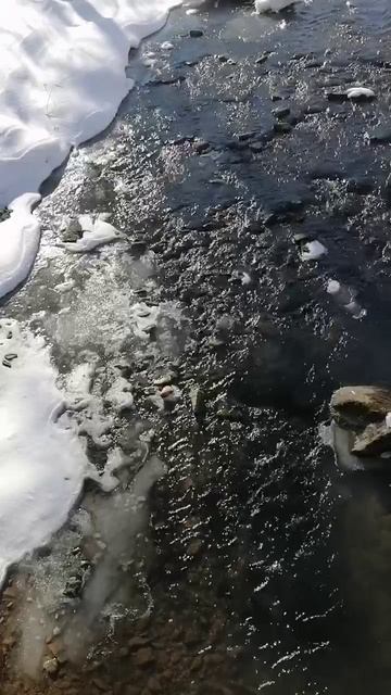 Белокуриха.