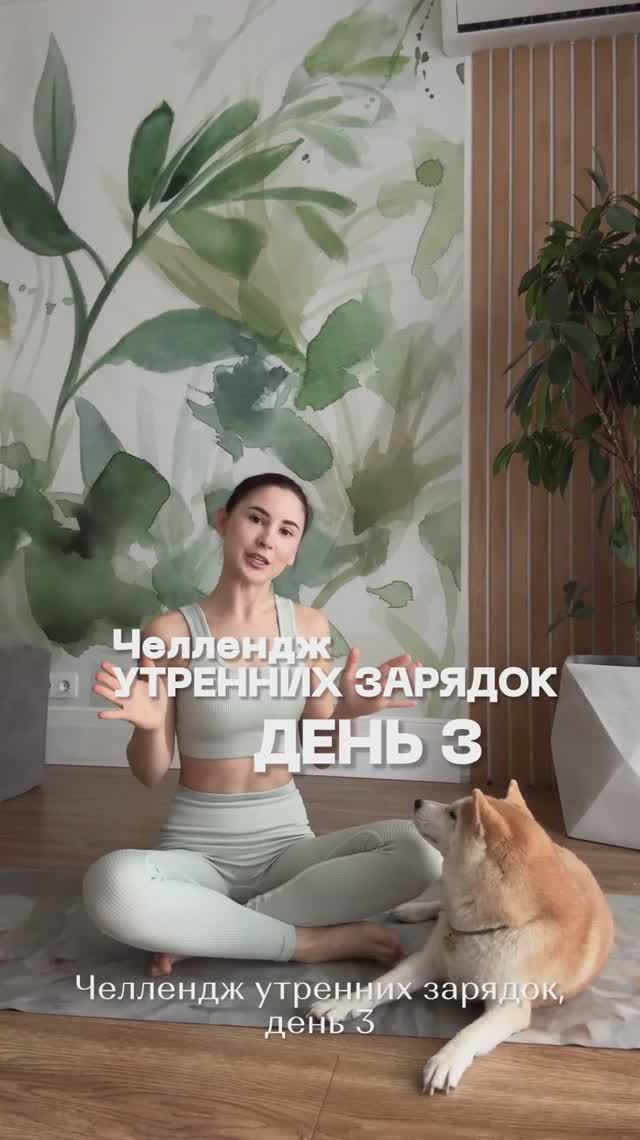 День 3. Челлендж утренних зарядок