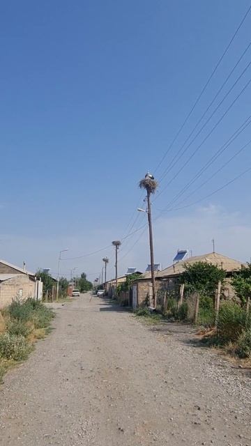 Город Аистов