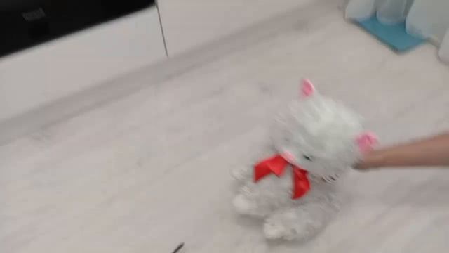 Футбол и ослик