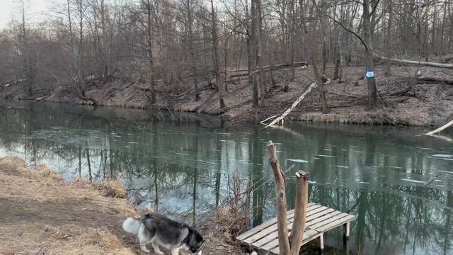 Вечерняя прогулка 16.03.2025