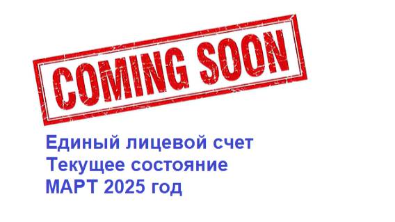Единый лицевой счет бюджетного (автономного) учреждения. Доклад март 2025 года.