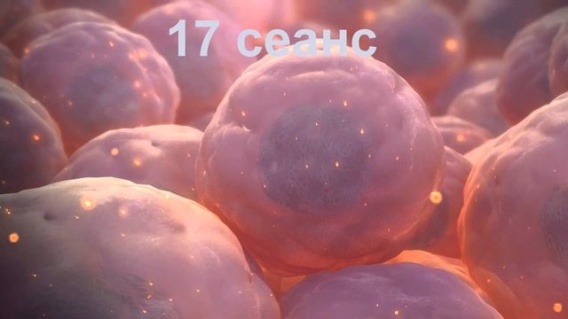 17 сеанс. Проект "Исцеление собственными стволовыми клетками".