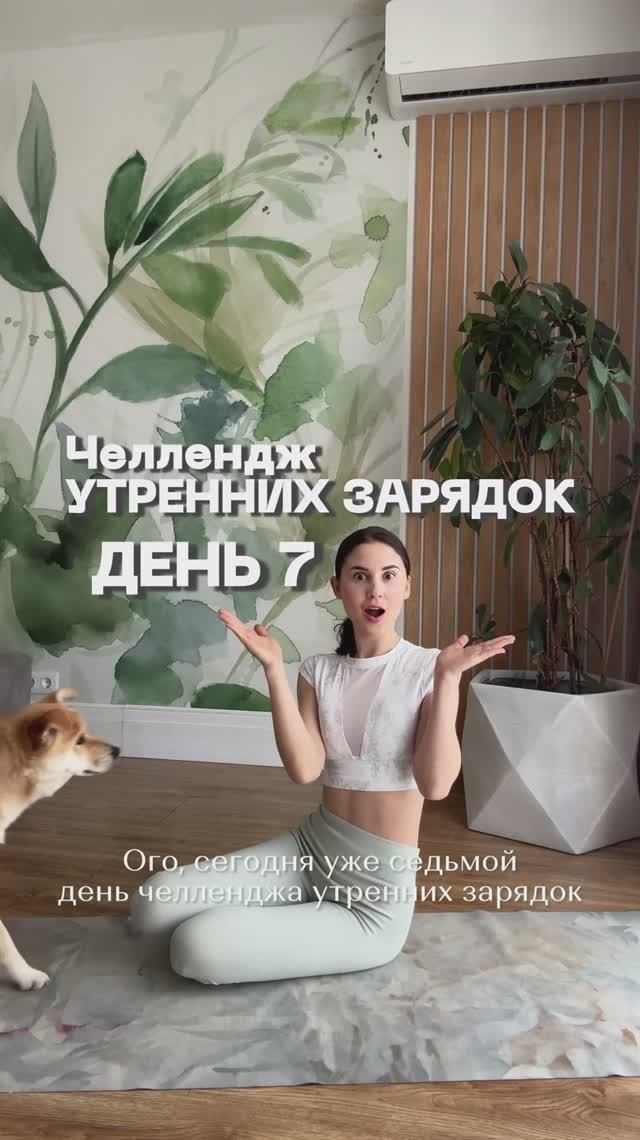 День 7. Челлендж утренних зарядок