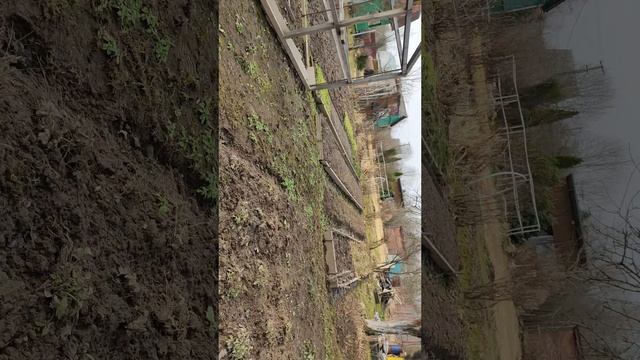 Март 2025 Ручная  пила