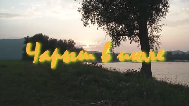 Чарыш в июле