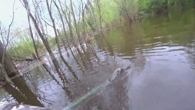 ✅📥 Видео с Ютюб. Видео с Ютюб. Одна щучка в сетку и всё.