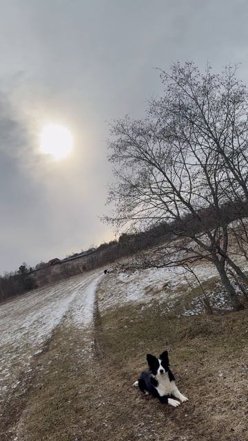 Учим укладку из движения