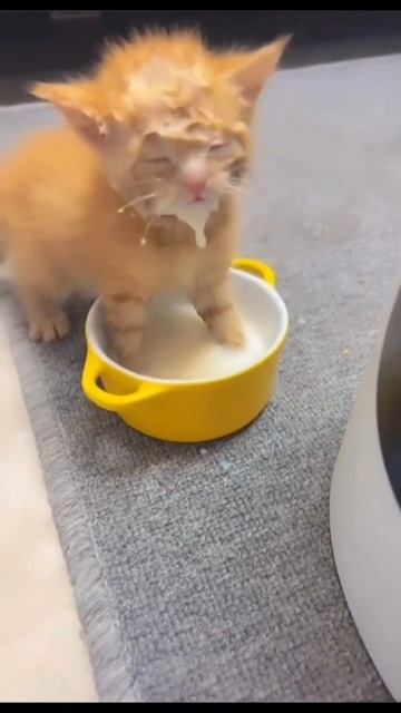 Очень вкусно!!!