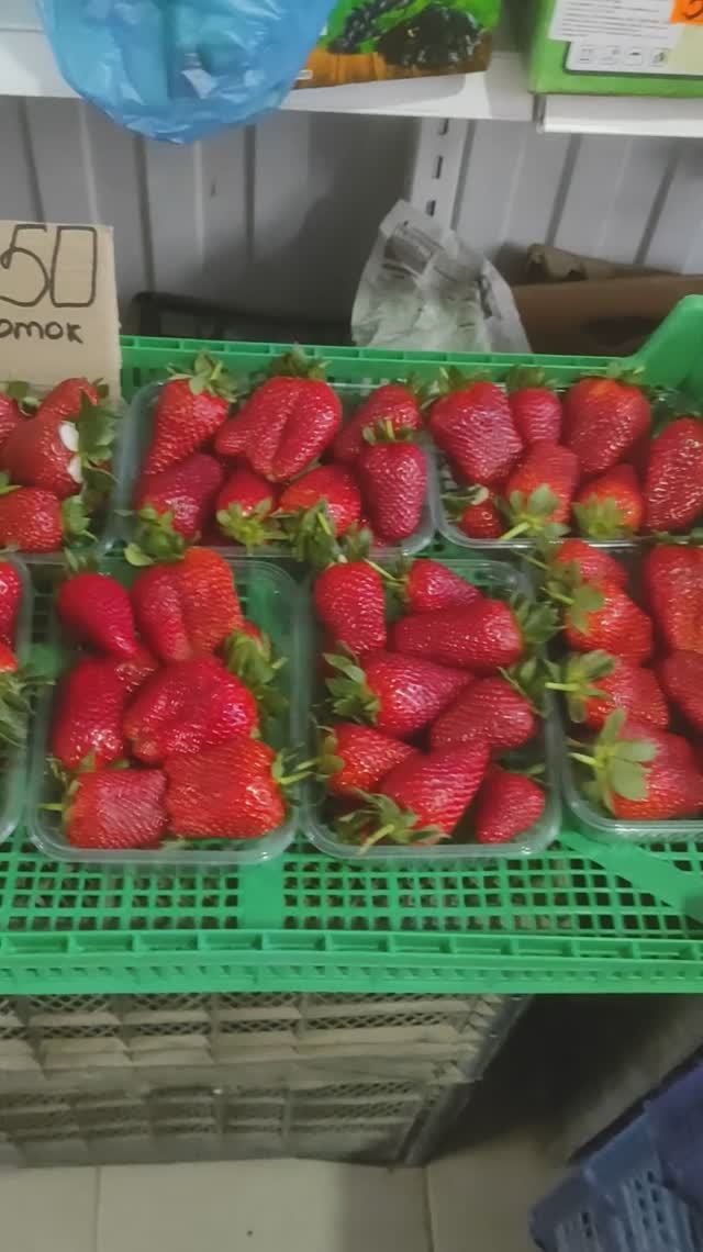 Цены на фрукты и овощи Ростовская область март 2025