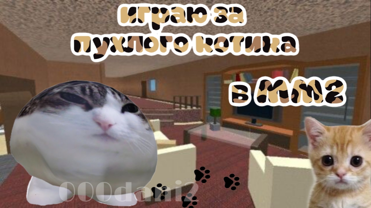 Играю за пухлого котика В ММ2 🐈Челендж сыграть за котаив ММ2 Роблокс Roblox Мардер мистери 2🔪