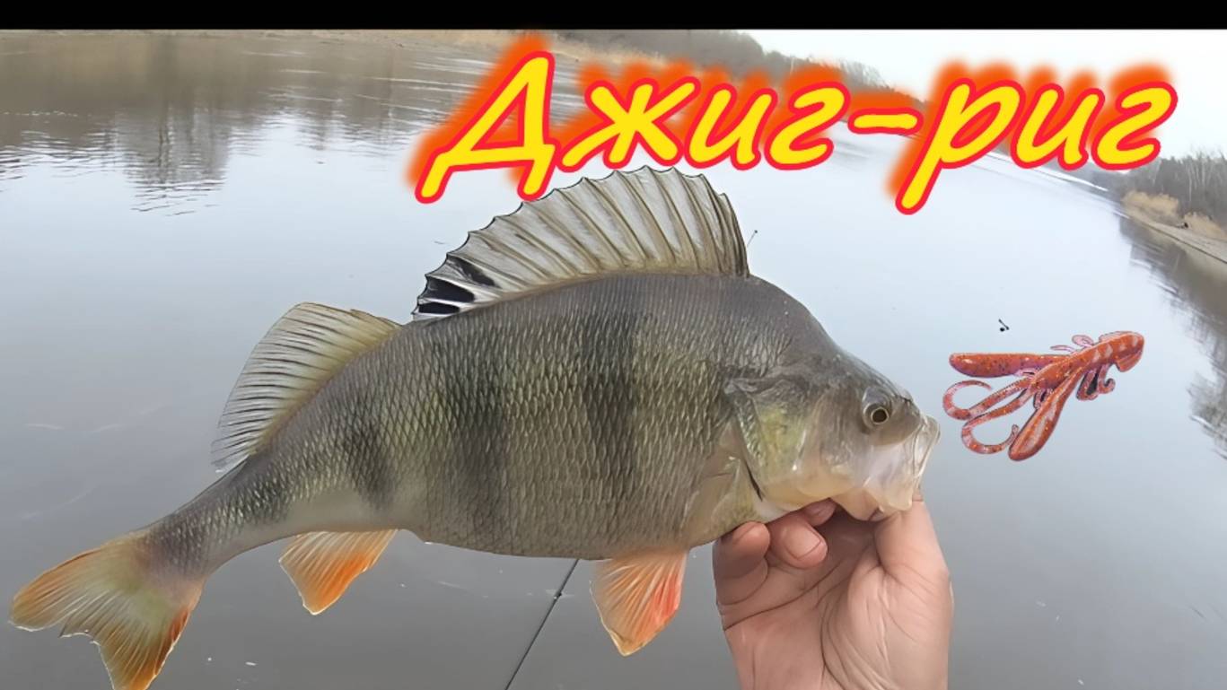 ТЕСТИРУЮ ОСНАСТКУ ДЖИГ-РИГ НА РЕКЕ СЕВЕРСКИЙ ДОНЕЦ . РЫБАЛКА НА ДЖИГ РИГ  весной на окуня и судака