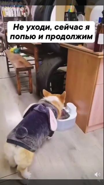 Война войной, но обед по расписанию