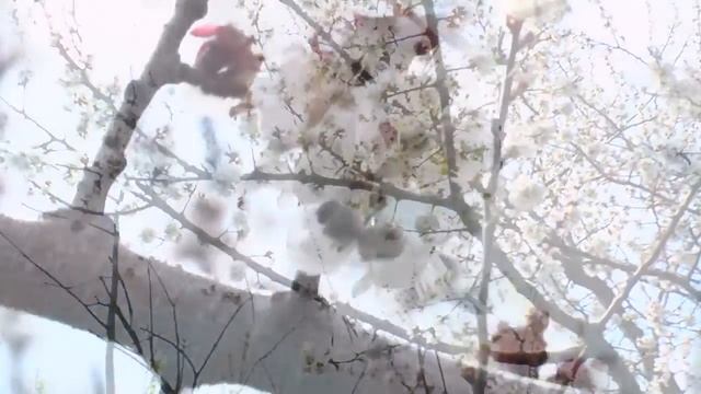 Весеннее настроение