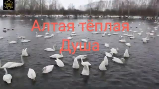 Алтая теплая Душа!♥️