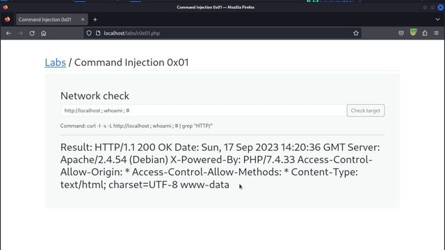 06-Command-Injection-Attacks