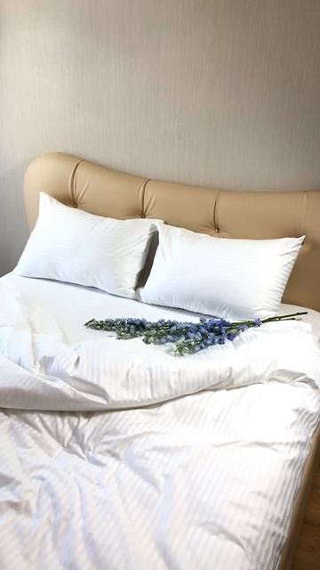 Вдохновение отельного страйп-сатина