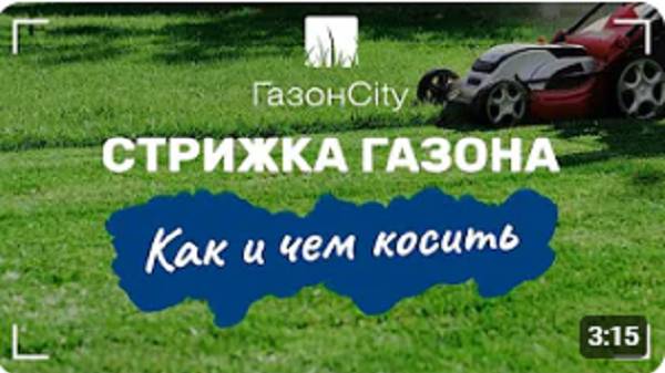 Стрижка газона: как и чем косить? Инструкция