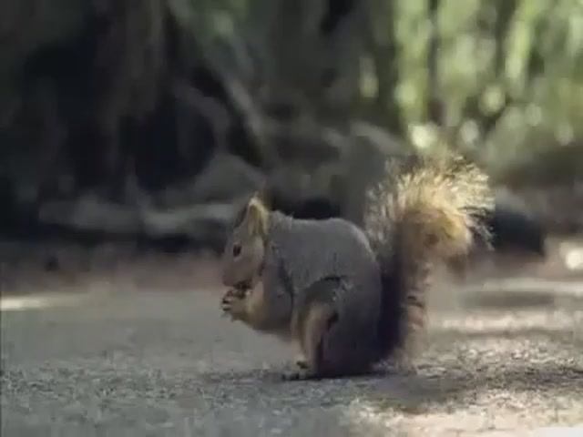 Смешная реклама бриджстоун