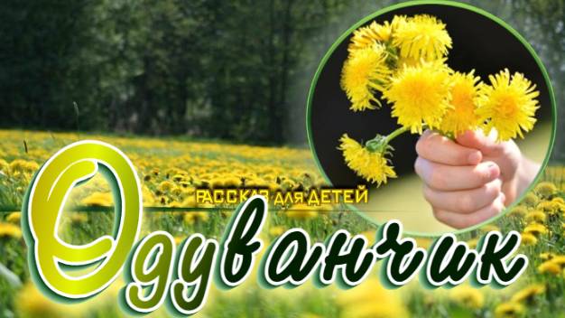 📗 "Одуванчик" ~ СЛАЙДЫ | РАССКАЗ Христианский для ДЕТЕЙ 👧☀️ / В МИРЕ ПРИРОДЫ 🟢 АУДИОРАССКАЗ