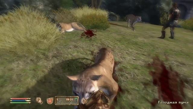 The Elder Scrolls IV Oblivion - Walkthrough Part № 49