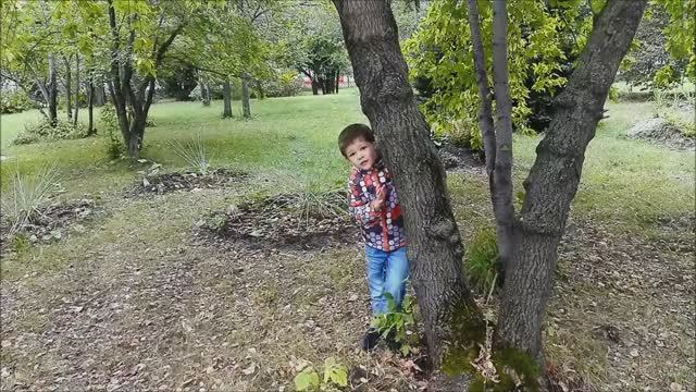 Игнат Коробков - Клён (музыка Людмилы Горцуевой, слова Валерия Тихонова)