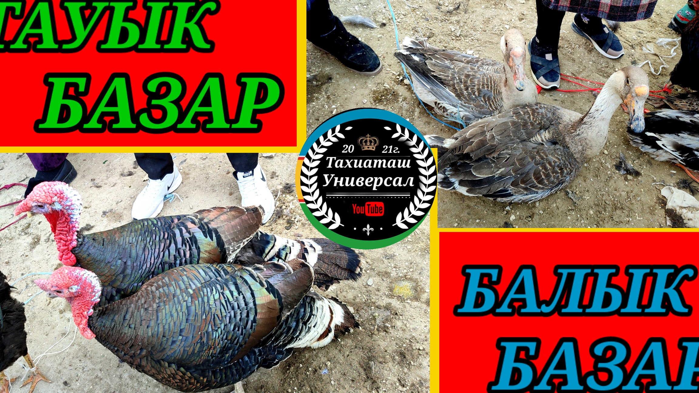 17-03-2025 ПТИЧИЙ РЫНОК -РЫНОК РЫБ