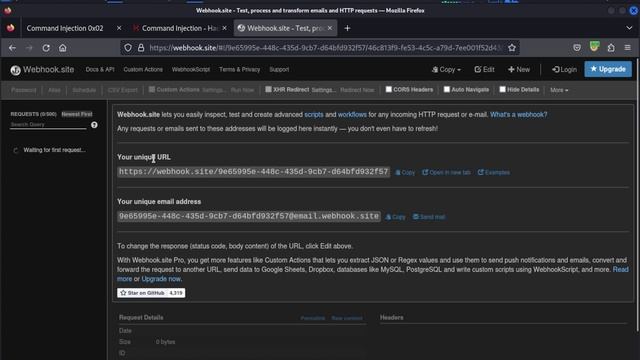 07-Blind-Command-Injection