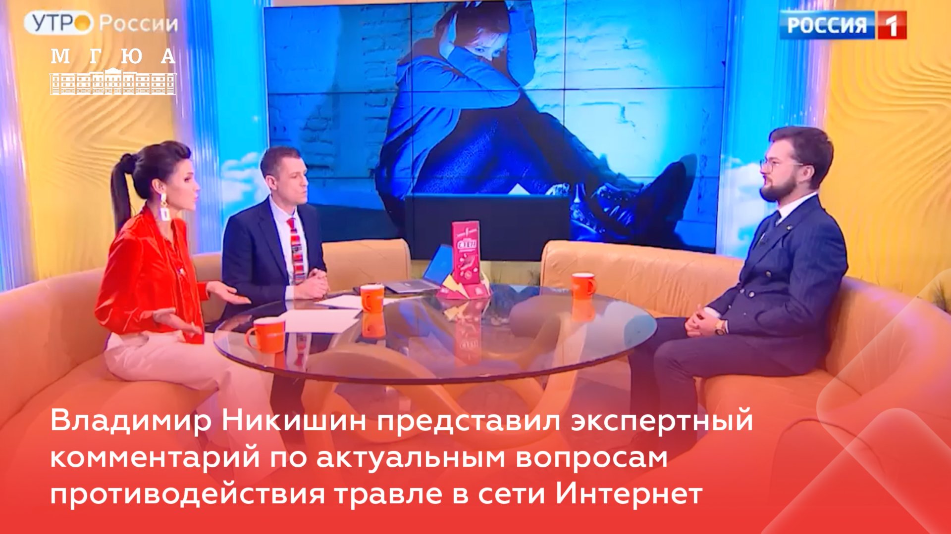 Владимир Никишин представил комментарий по вопросам противодействия травле в сети Интернет
