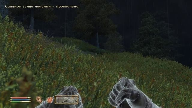 The Elder Scrolls IV Oblivion - Walkthrough Part № 45