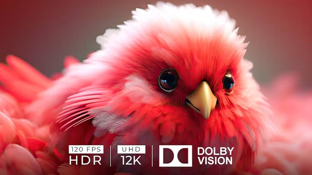 [4K] 12K HDR 120fps Dolby Vision with Bird Sounds (Colorfully Birds)