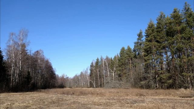 Открыл сезон. Развалины, лес, первые грибы, чаепитие у реки.