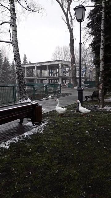 Парк Хетагурова