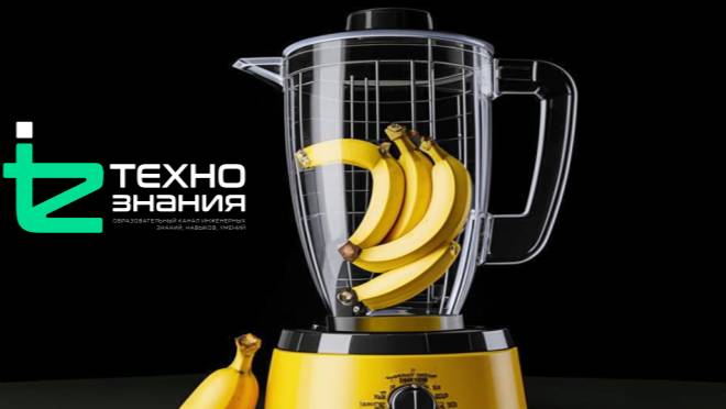 Эксперимент с перепелиными яйцами: Микроскопический Взрыв Жизни