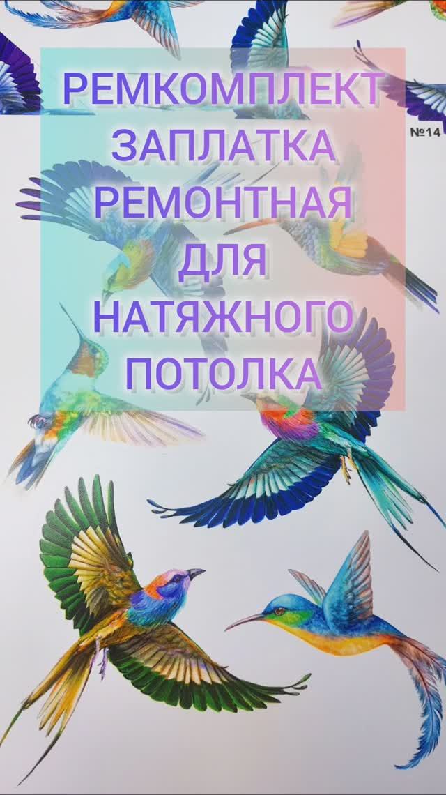 Новые наклейки для натяжного потолка и дизайна интерьера