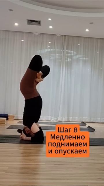 Всё вверх дном? Встаём на голову и мы ) #йогакаждыйдень #shorts