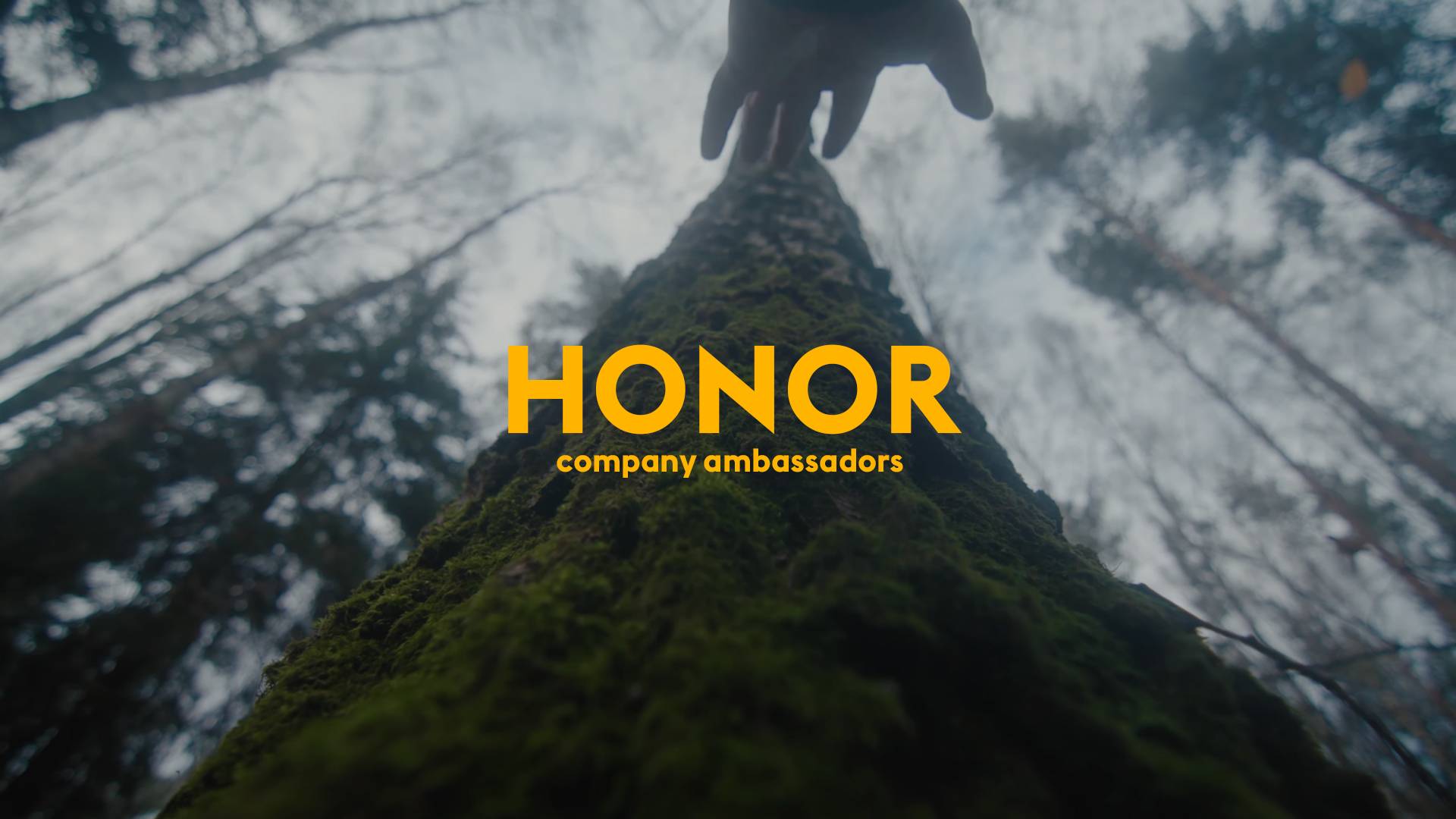 HONOR Commercial | Bogachev Films