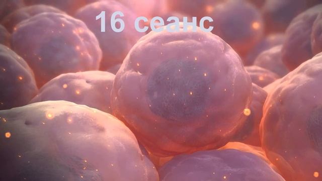 16 сеанс. Проект "Исцеление собственными стволовыми клетками".